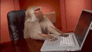 monkey - Collection | OpenSea