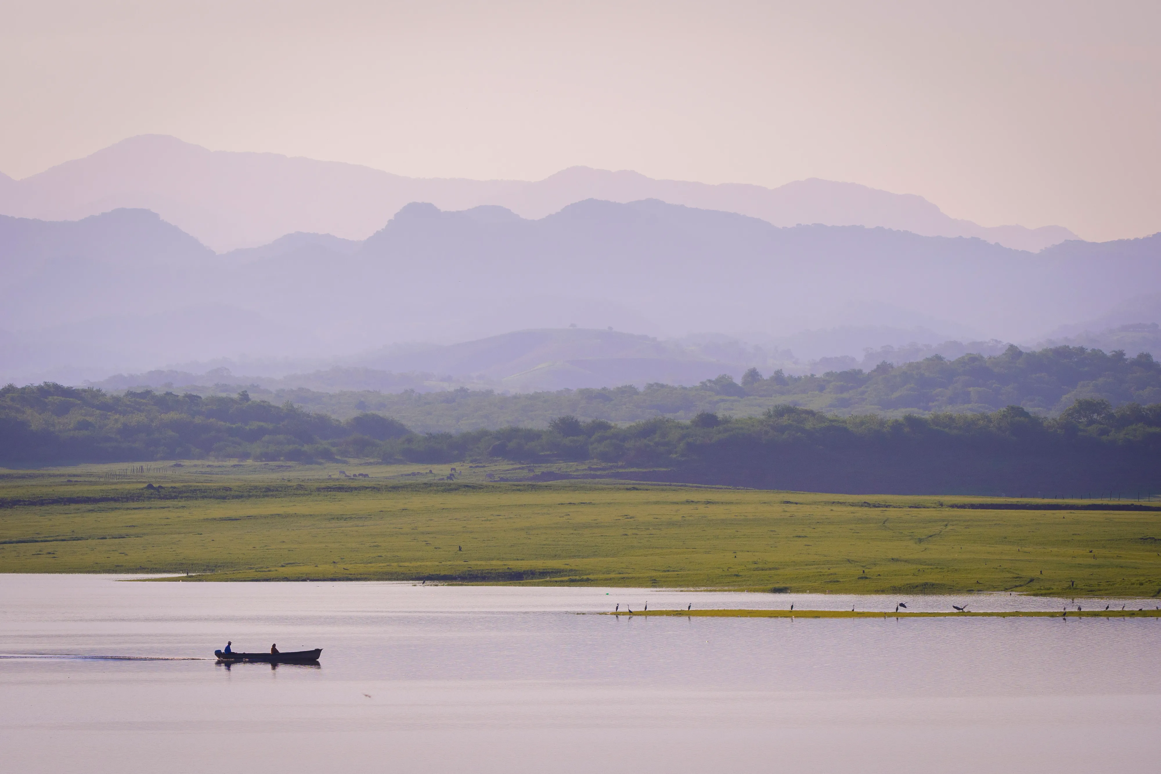 A new dawn, a new life - Collection | OpenSea