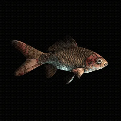 CryptoFish #3392 - メルカリNFT