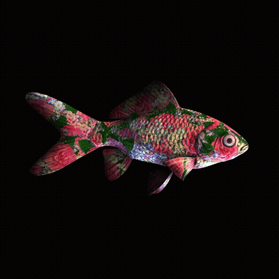 CryptoFish #3529 - メルカリNFT