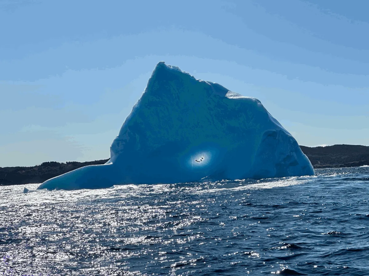 Icebergs from the north - Collection | OpenSea